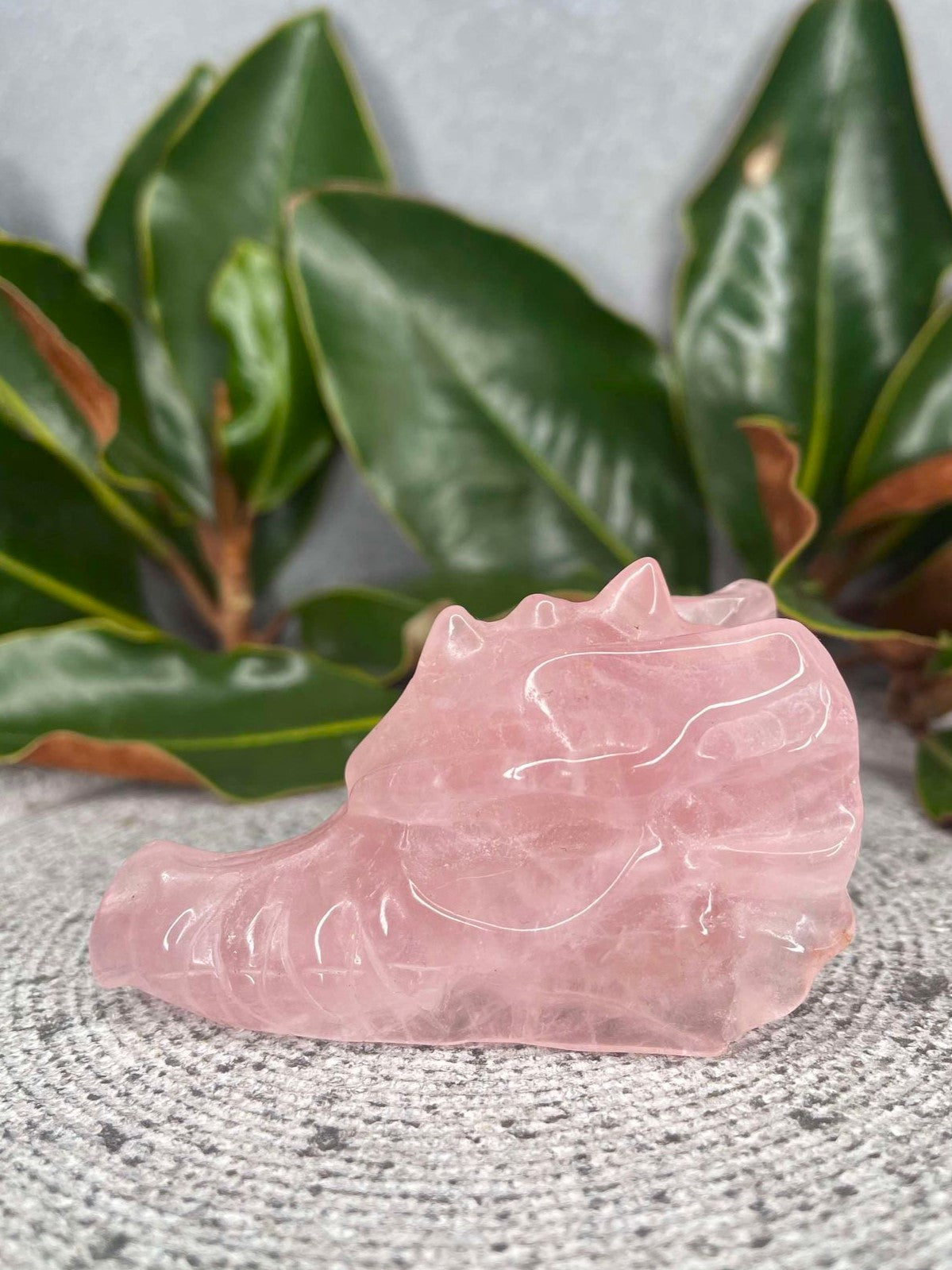 Beautiful Rose Quartz Crystal Dragon Skull Carving – Crystals Melbourne ...